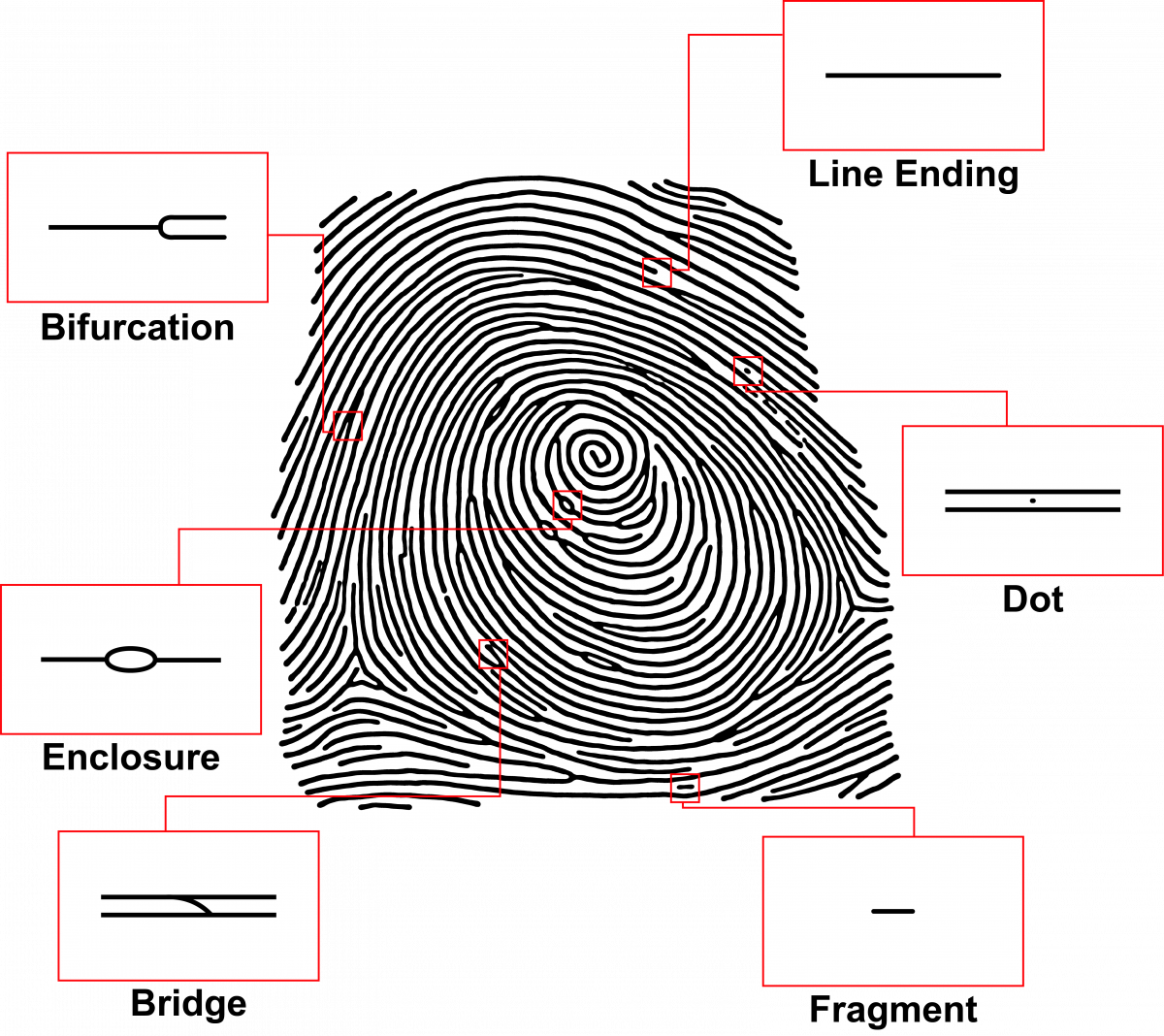 Forensic Science - Evidenced Based Justice Lab - University of Exeter