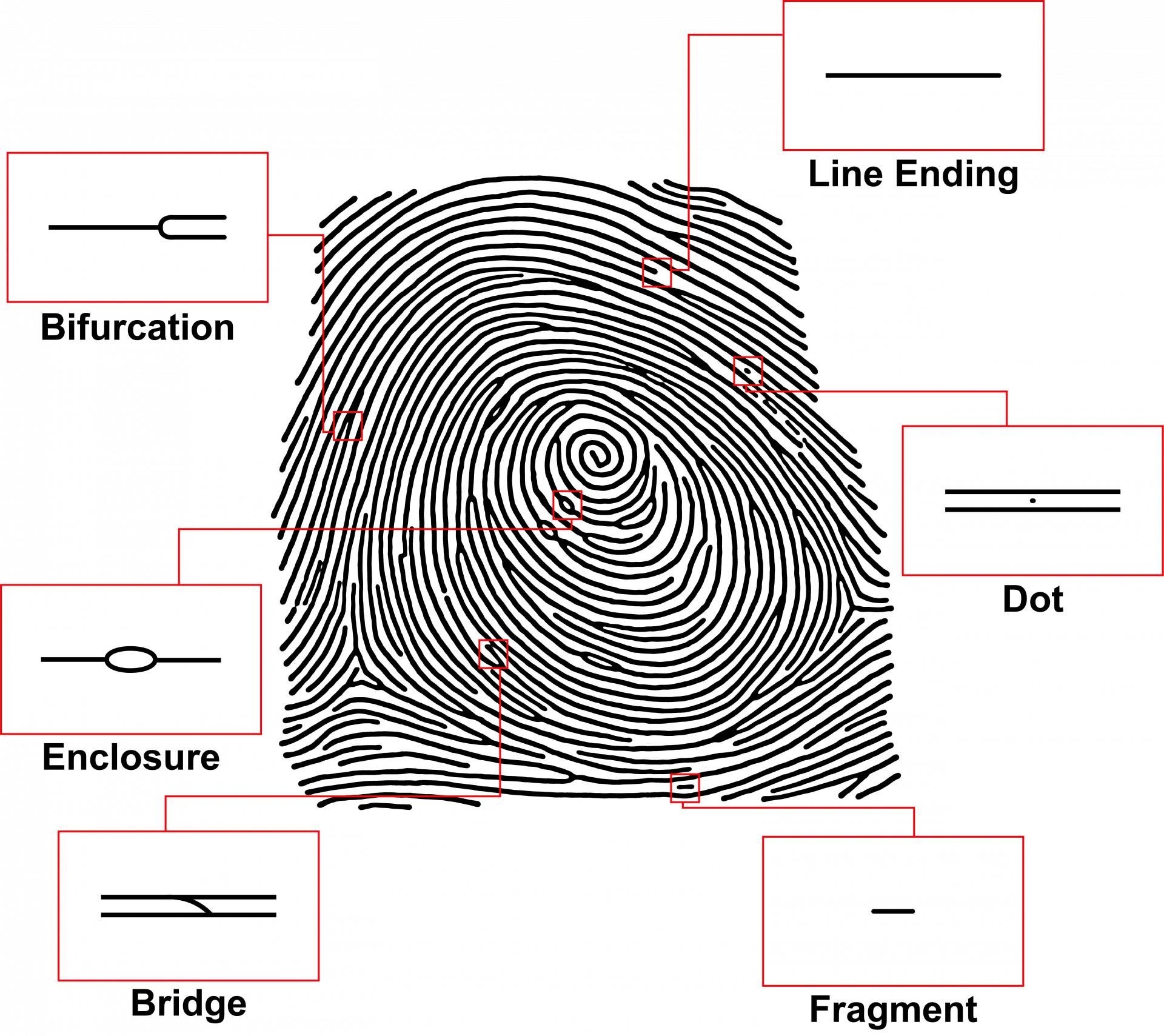 Forensic Science - Evidenced Based Justice Lab - University of Exeter