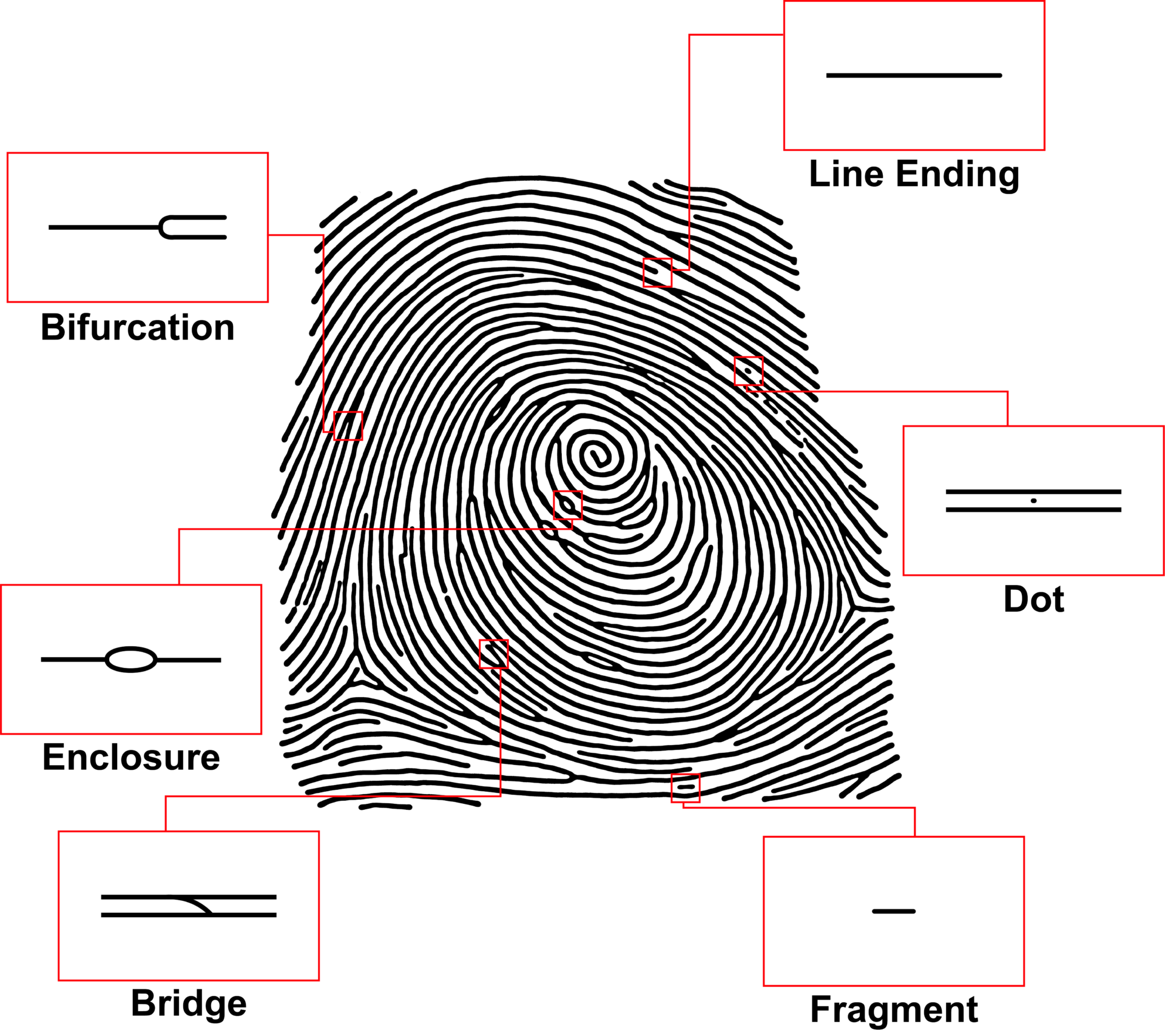 How can psychology maximise the accuracy of forensic science ...